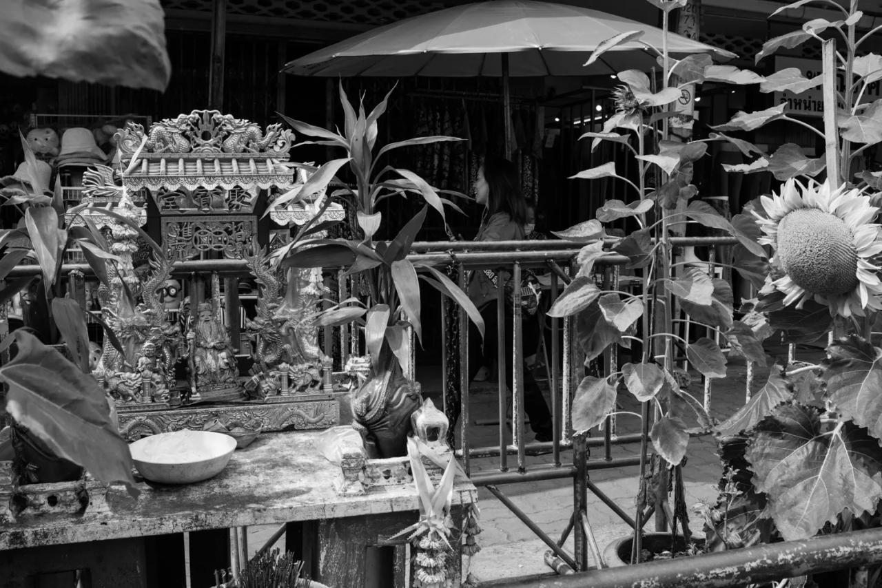 6 Top Street Photography Presets (for Lightroom) – LensWisdom